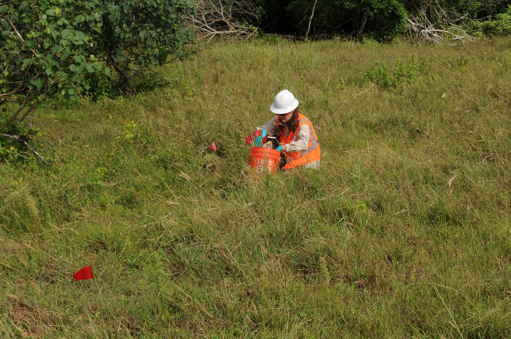 UPDATE: Additional Soil Sampling Conducted at Andersen Air Force Base ...